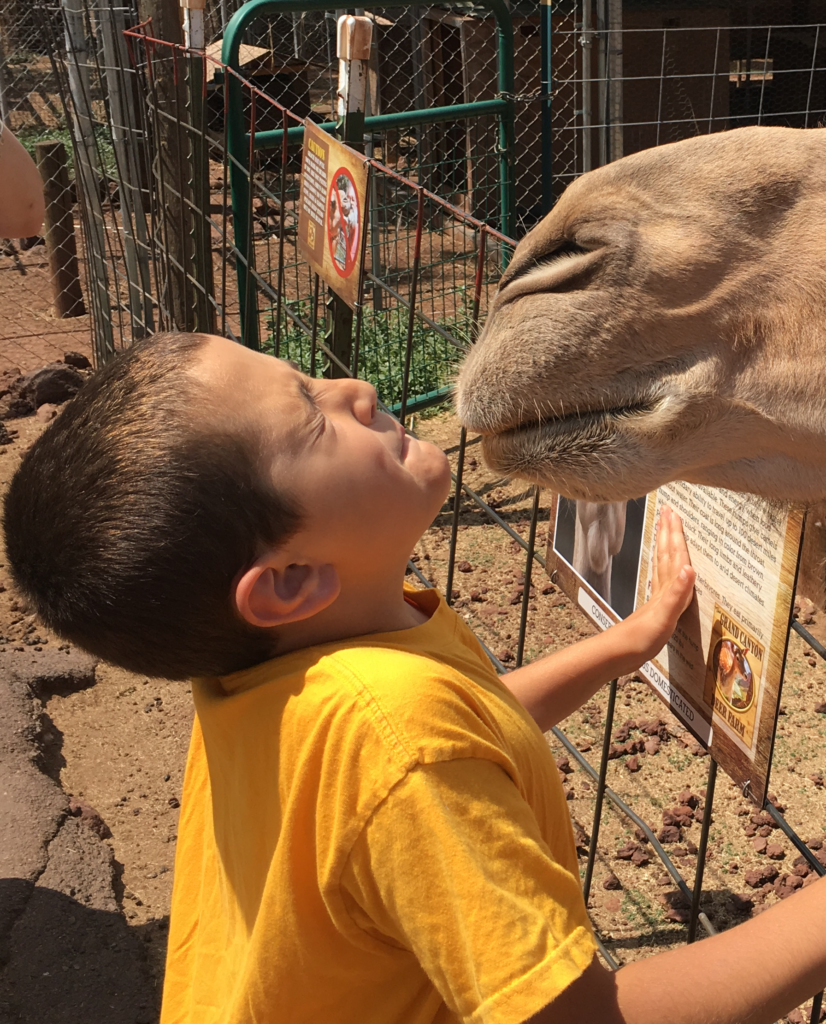 Jennifer Schaeffer - American Federation for Children